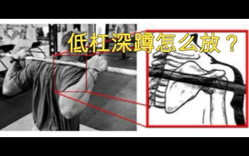【Dr.力·第肆拾玖話】低杠深蹲怎么放?