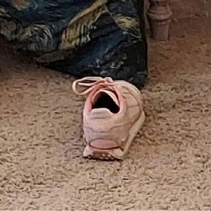 茄蛋_ 
