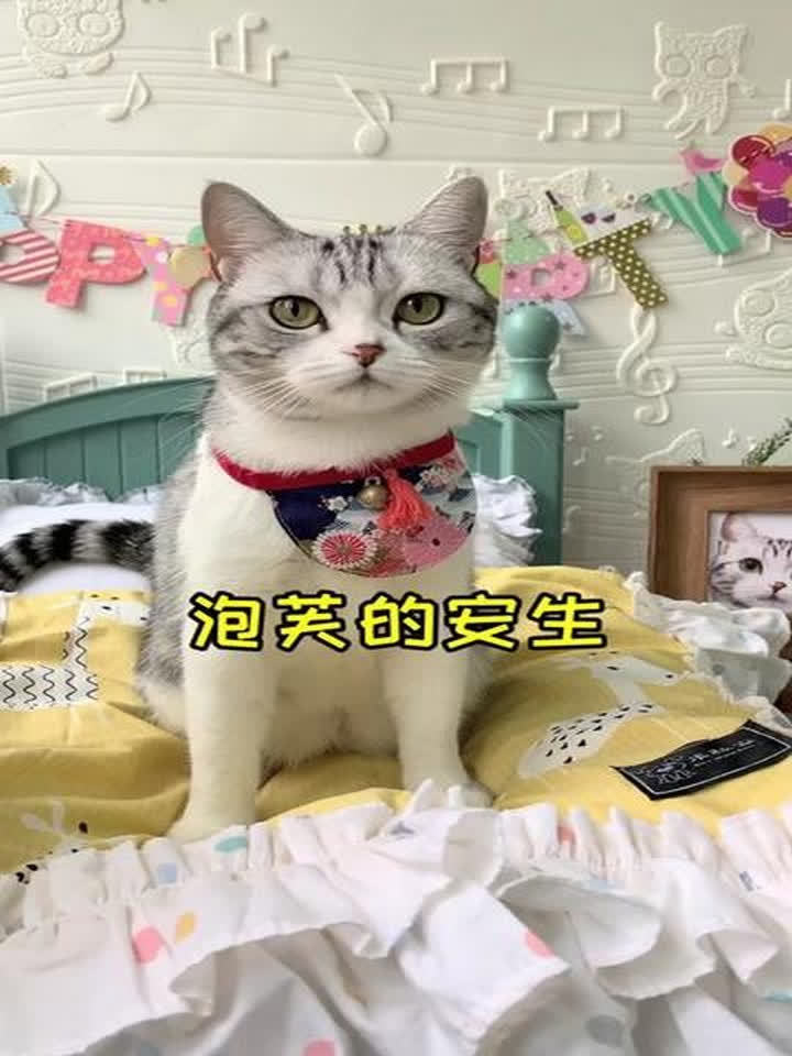 泡芙收到正式求婚了以后要和安生相亲相爱