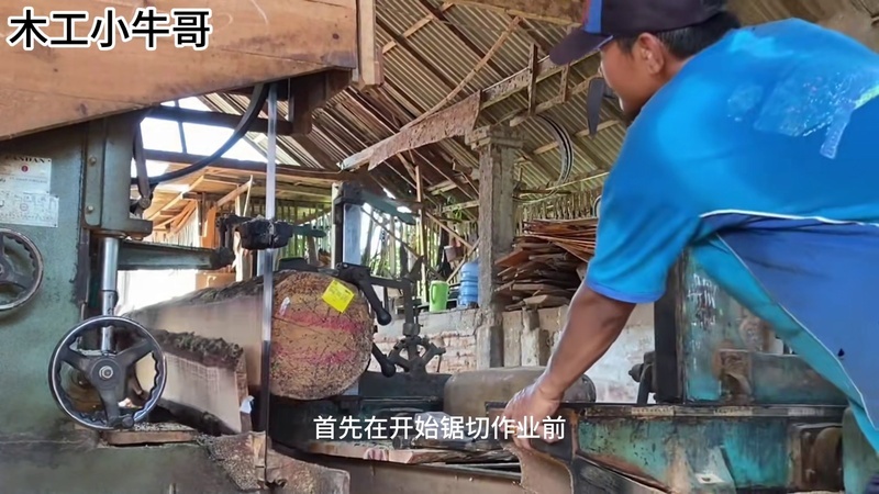 在木材厂锯切一根普通品质的松木