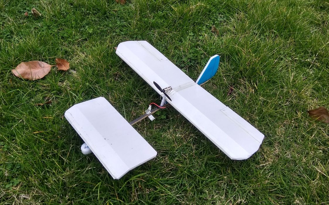 【微型航模】简单的鸭翼飞机,这家伙能飞吗?