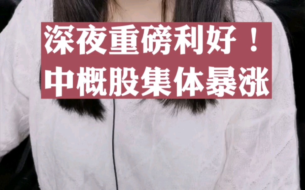 中美两国签署审计监管合作协议,具体说了些啥?有什么影响?