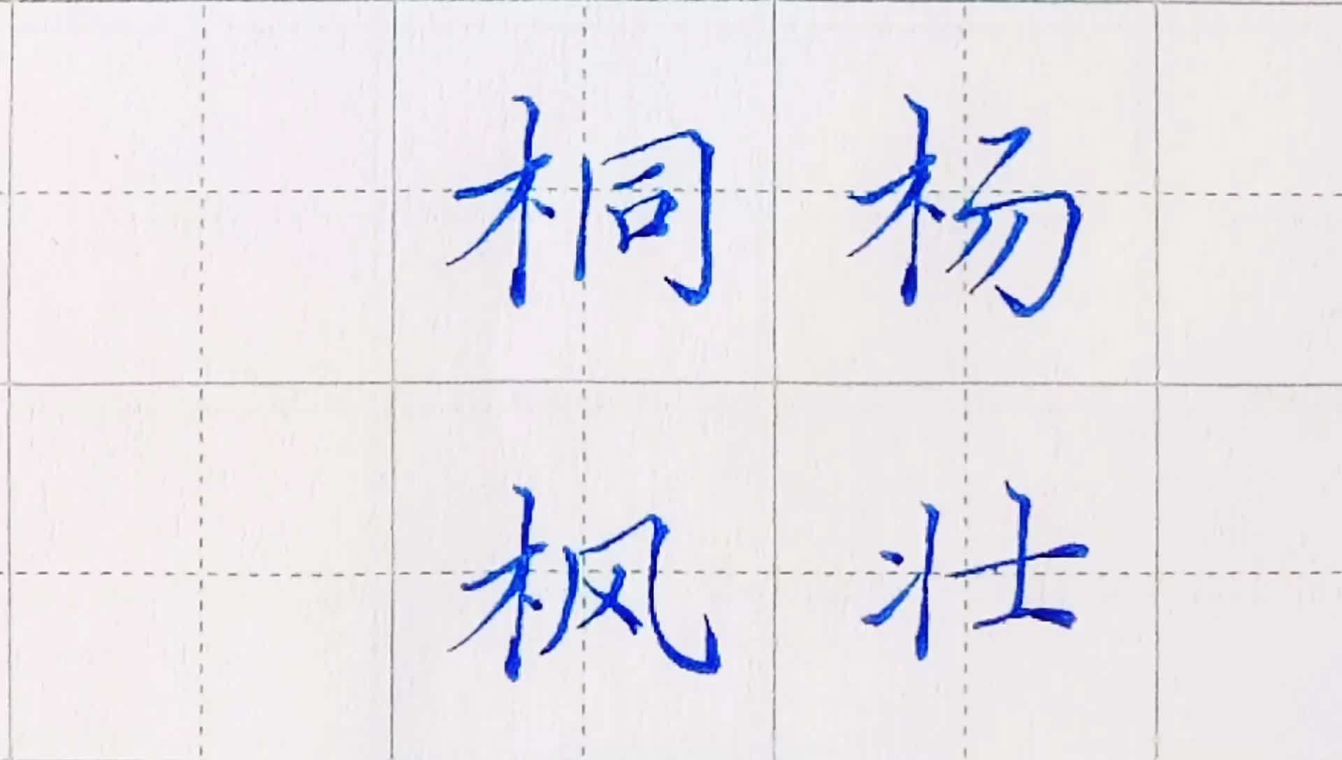 实用楷书演示——二年级上册识字2生字: 杨、壮、桐、枫