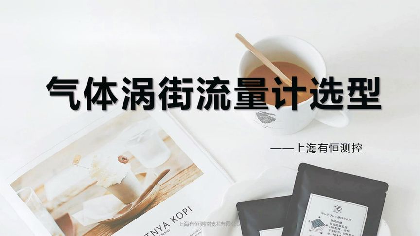 气体涡街流量计选型