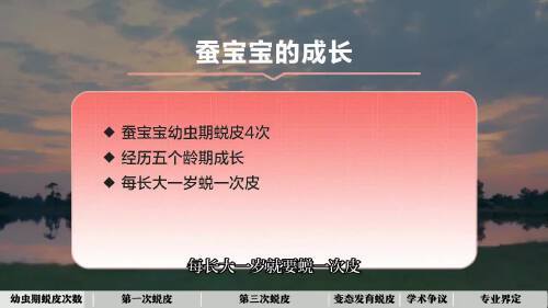 蚕宝宝一生蜕皮几次?揭秘它吐丝结茧前的神奇蜕变!