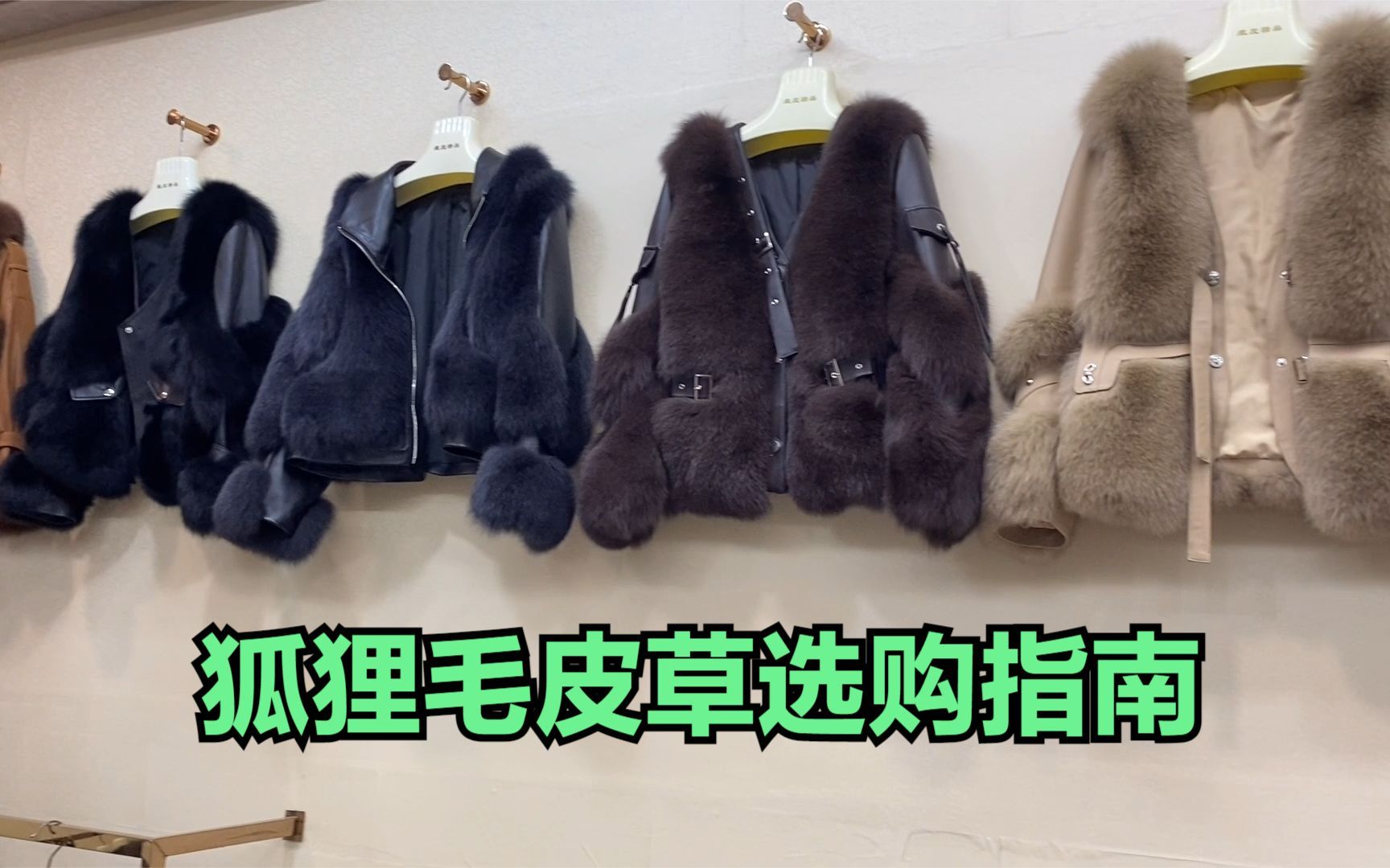 如何选购狐狸毛皮草才正确?白狐蓝狐如何区分?