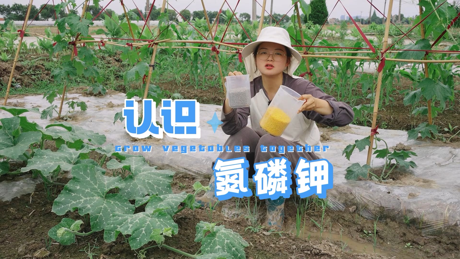 氮磷钾具体有哪些作用?应该如何使用氮磷钾复合肥?