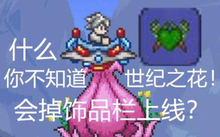 什么?泰拉瑞亚你不知道世纪之花会掉饰品栏上限?(模组介绍)
