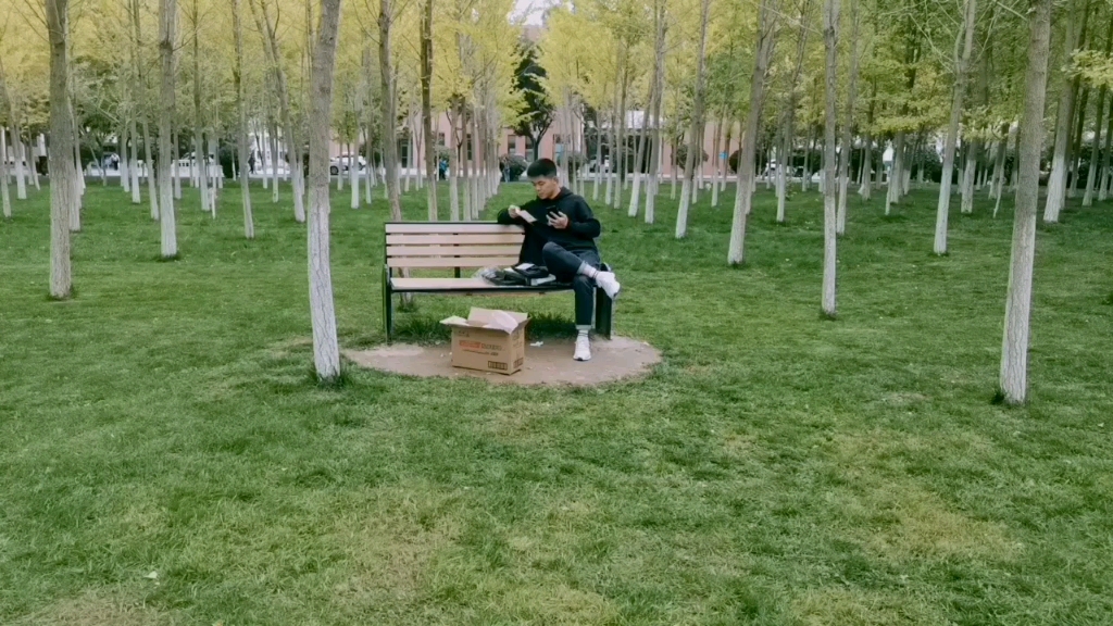 京东京造手机云台Capture2摄影小白试拍--兰州理工大学西校区银杏林