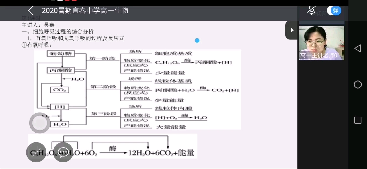 细胞呼吸的过程及分析