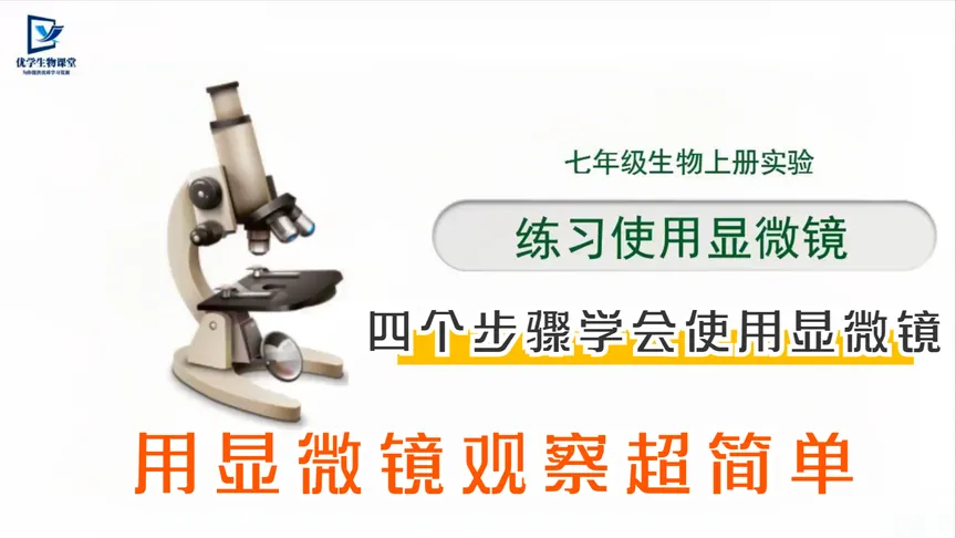 用显微镜观察需要哪几个步骤呢?详细介绍显微镜的用法,请查收