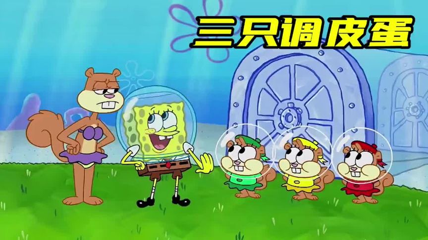 海绵宝宝搞笑视频#海绵宝宝帮忙照顾三只小松鼠,太能惹祸了