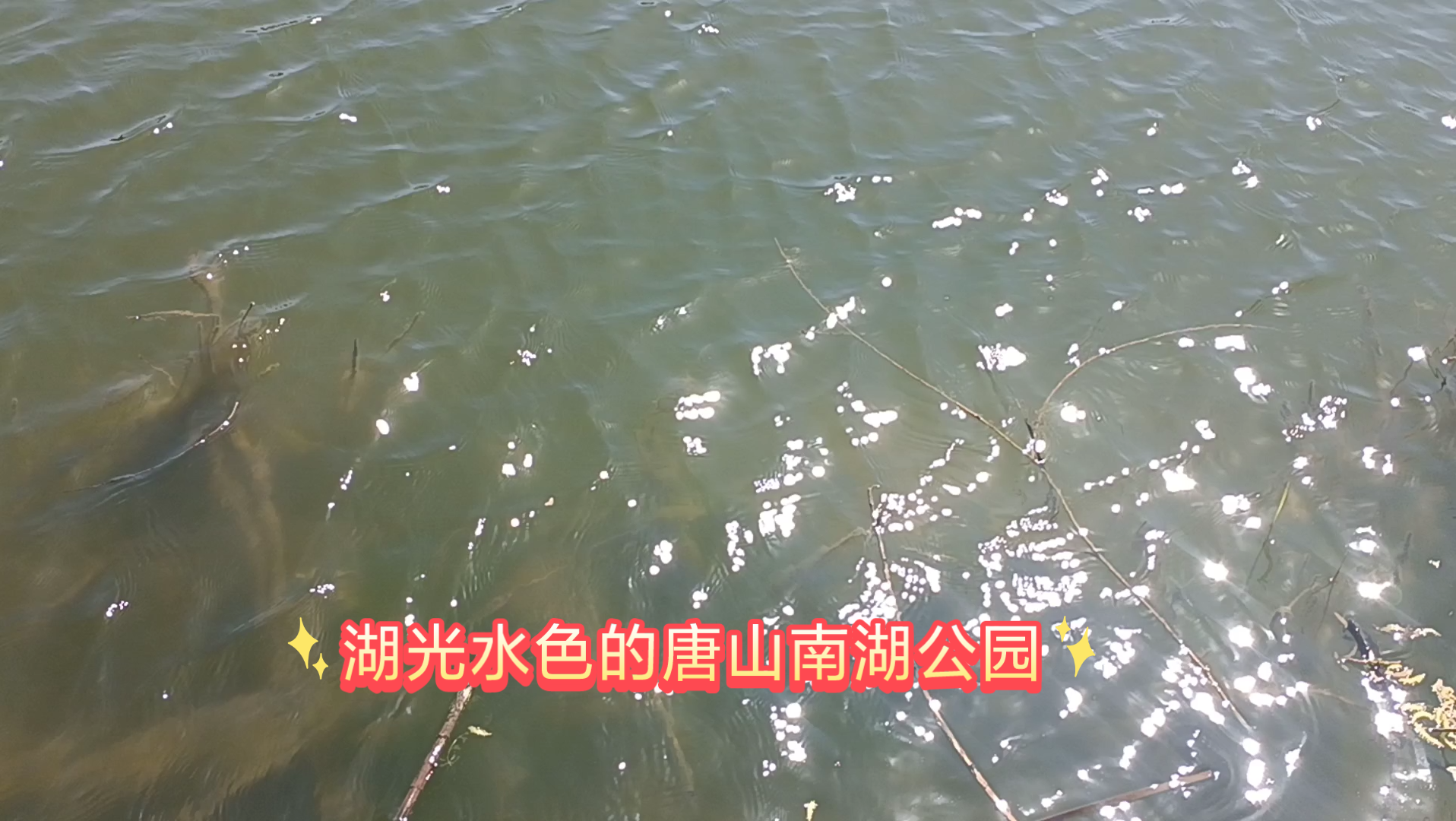湖光水色的唐山南湖公园