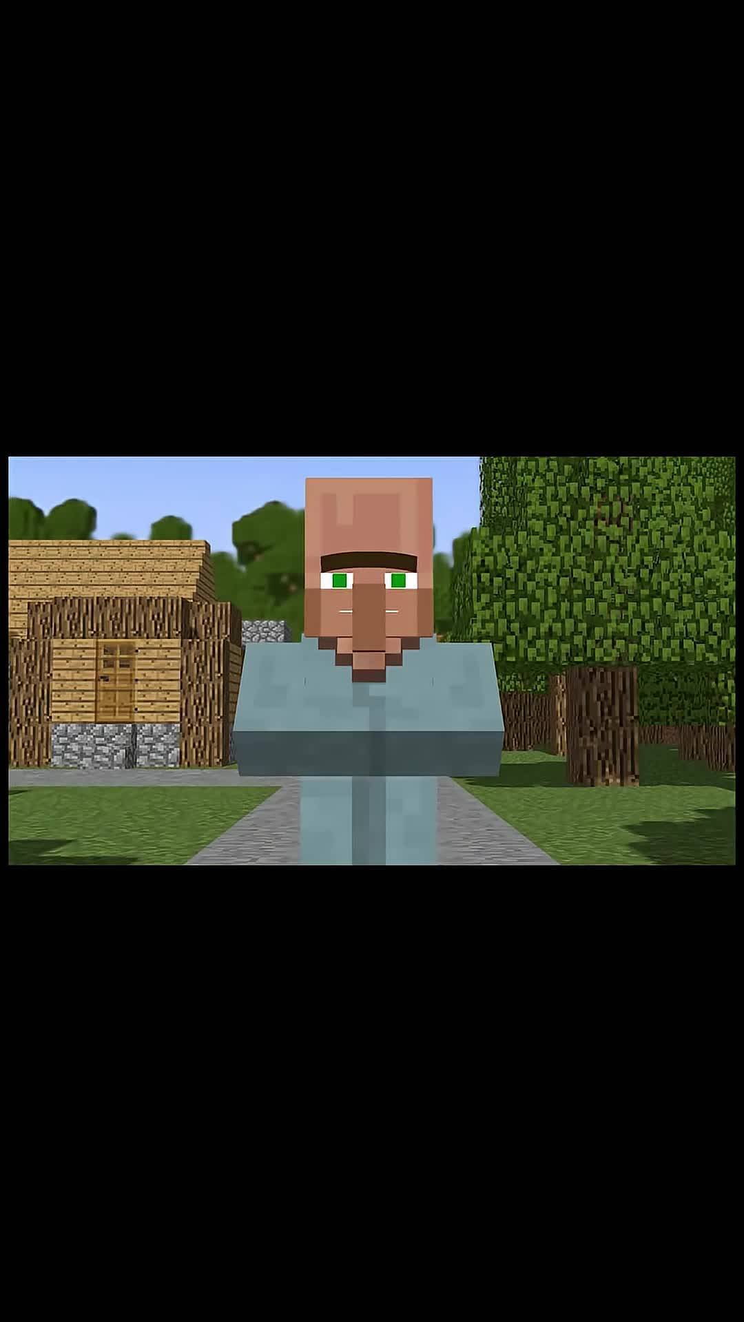 我的世界村民行走