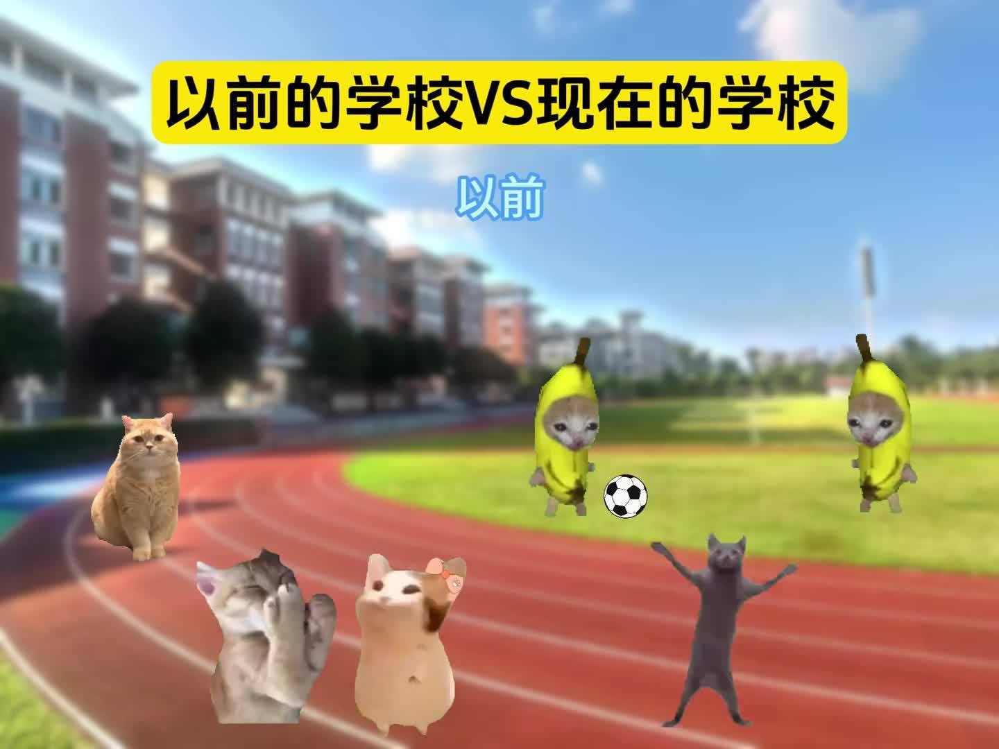 以前的学校VS现在的学校