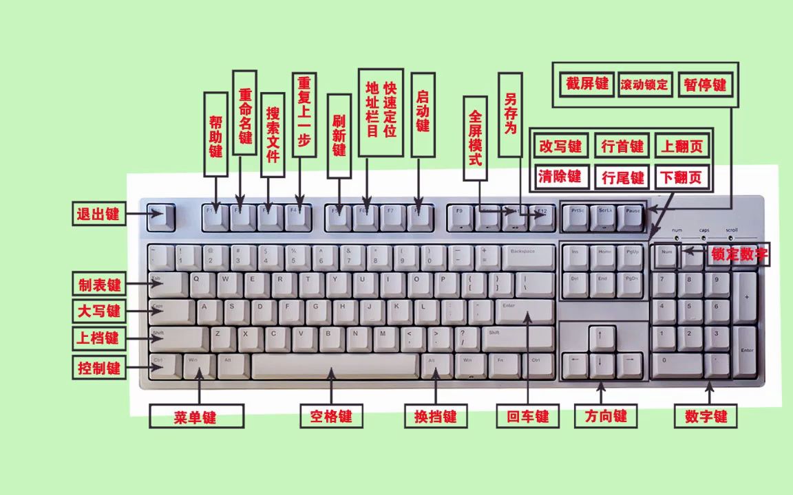 新手0基础学电脑入门视频教程,认识鼠标的基本操作,打字指法