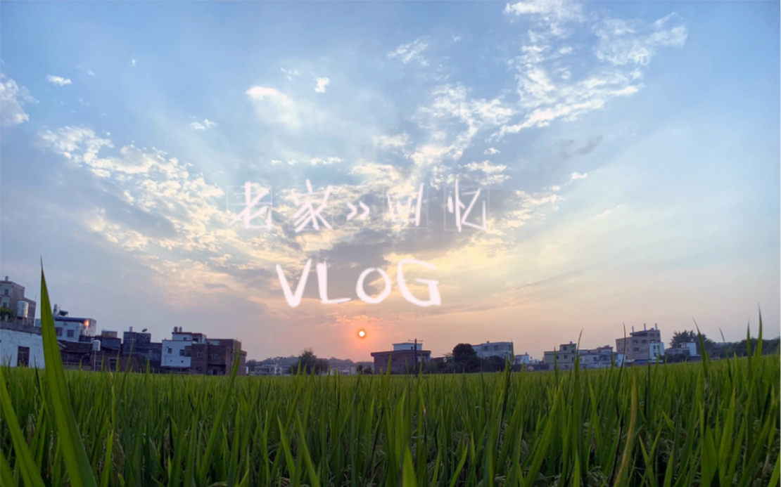 【林檎】一个国庆回老家的VLOG|童年的回忆|城市的乡下人|我好想有...