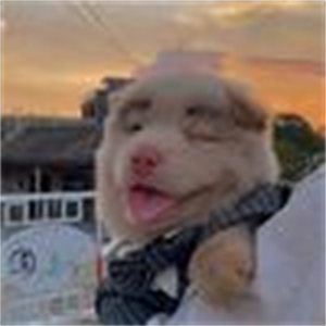 一群羊
