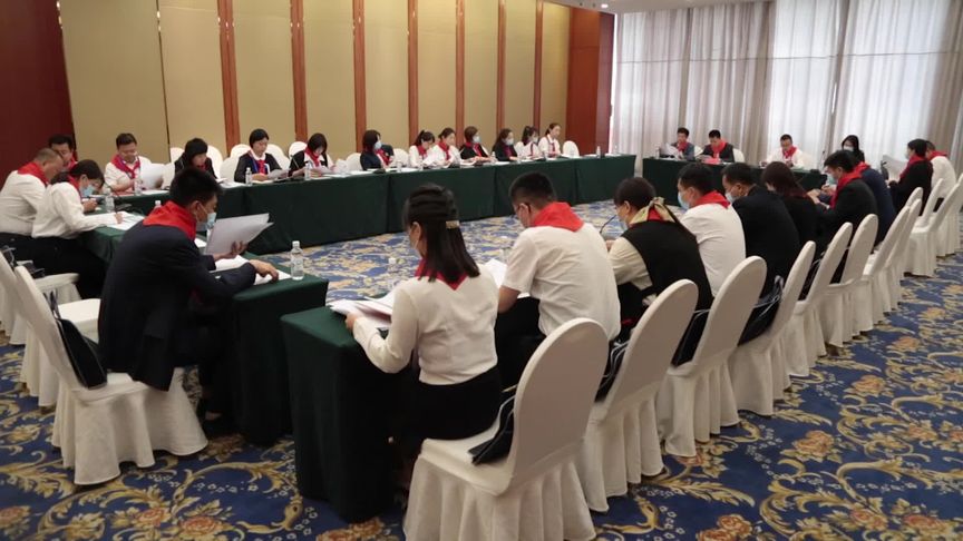 少代会与会代表分组讨论热烈,少先队员主题团日获益匪浅