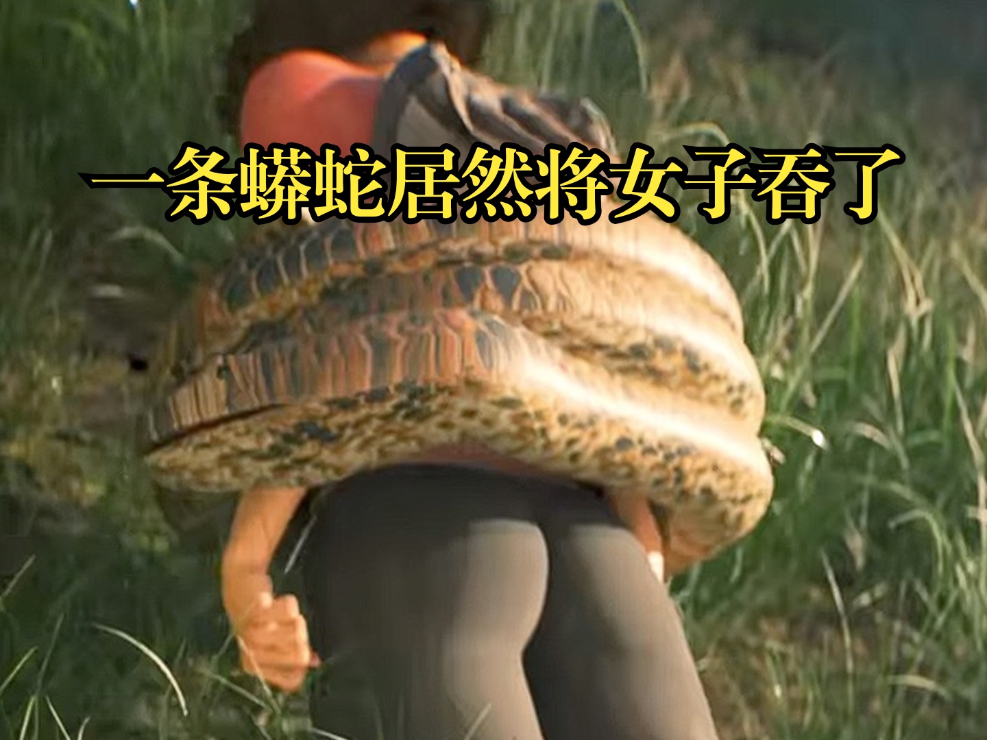 你敢相信,一条蟒蛇居然将一名女子给吞了,我们一起来看一下!