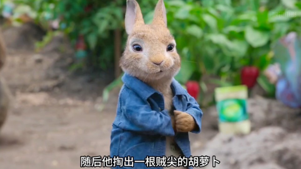 #彼得兔 #动画电影 彼得兔有什么坏心眼呢