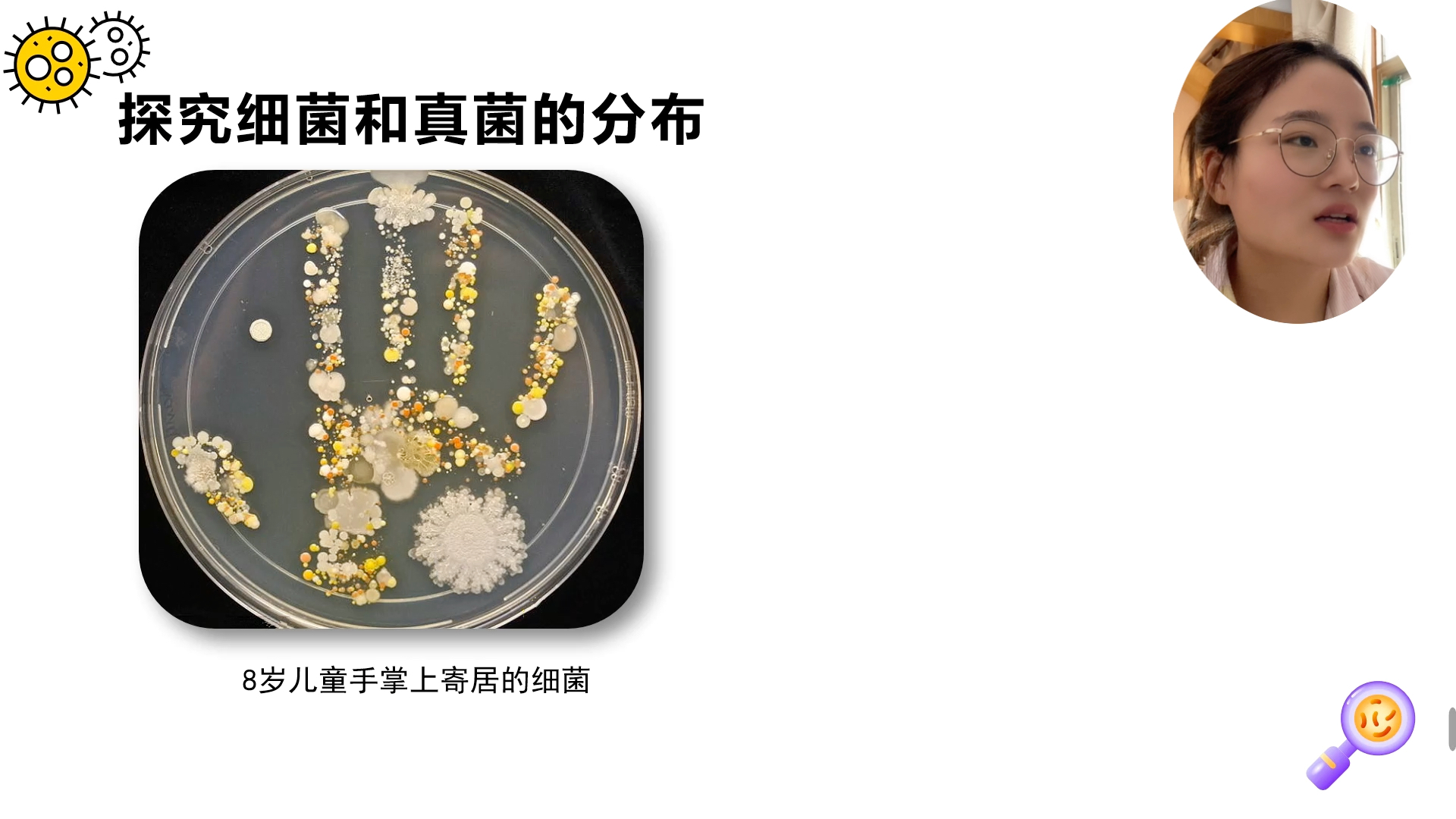 《细菌和真菌的分布》教学思路|初中生物教学思路