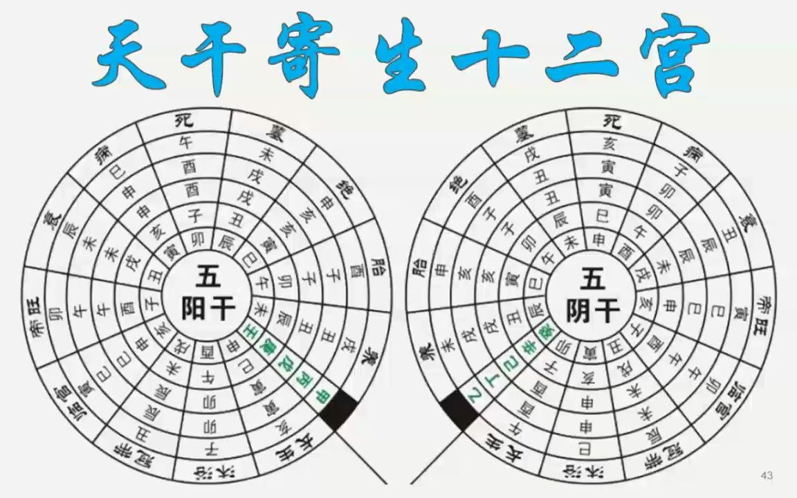 八字基础知识——天干寄生十二宫