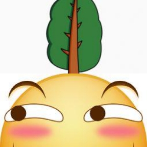 稽木白柏cypress 