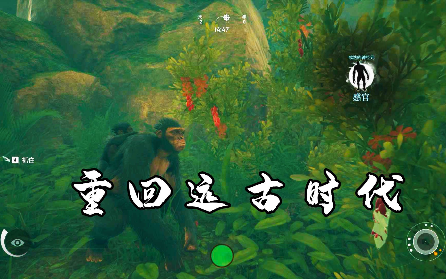 狒狒模拟器01:重回千万年前远古时代,找到人类起源,走向小康!