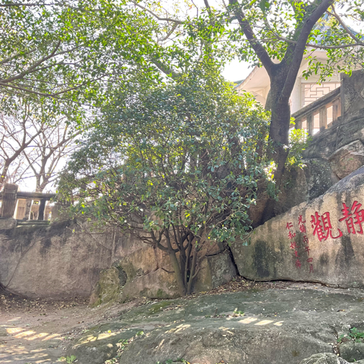 时光易迹 