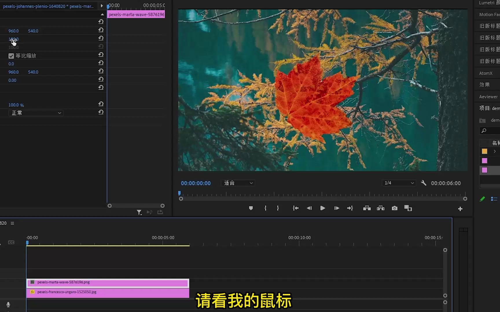 Premiere效果控件中关键帧动画的制作,物体运动、视频效果控制的...