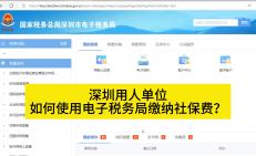 用人单位如何使用深圳电子税务局缴纳社保费