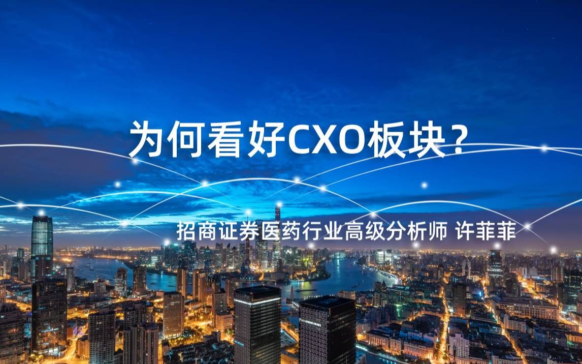 【会议精选】为何看好CXO板块?