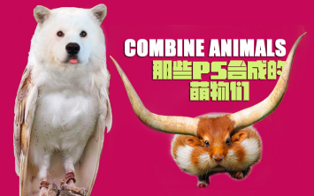 当两种动物的基因结合到一起会怎样!