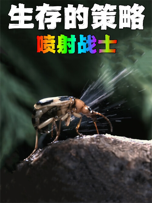 神奇的生物,已经用上了化学武器