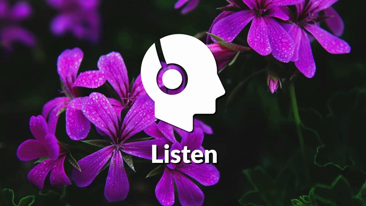 日语口语听力课程 基础篇 - 高效练耳朵(带简体字幕)