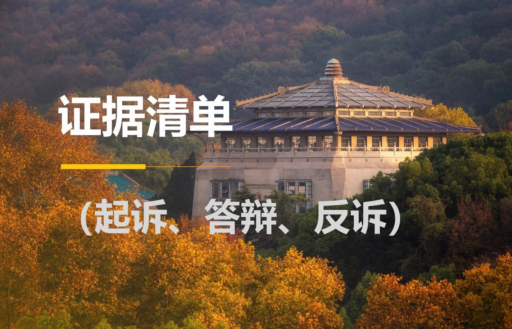 【实习/诉讼律师技能实训】第三节:证据清单(下)