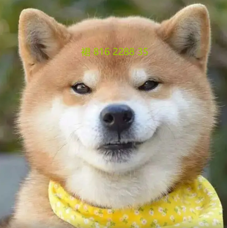 你的二棉裤 