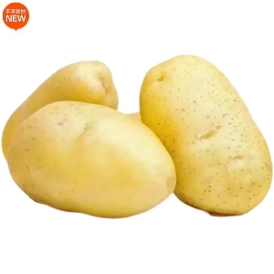 梁土豆艺 