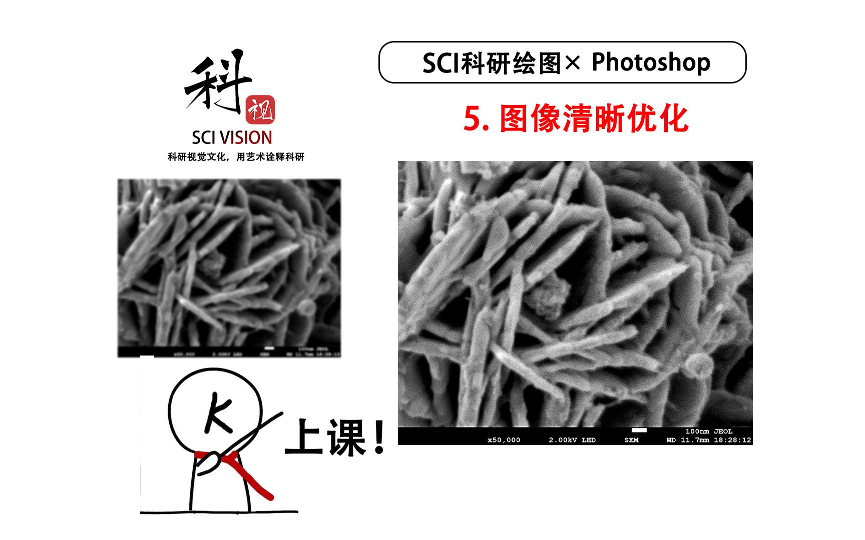 30秒SEM扫描电镜清晰度优化,让你的图片质量更上一层