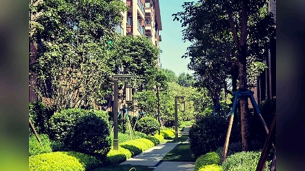 柳州装修队长的工地巡查日常记录