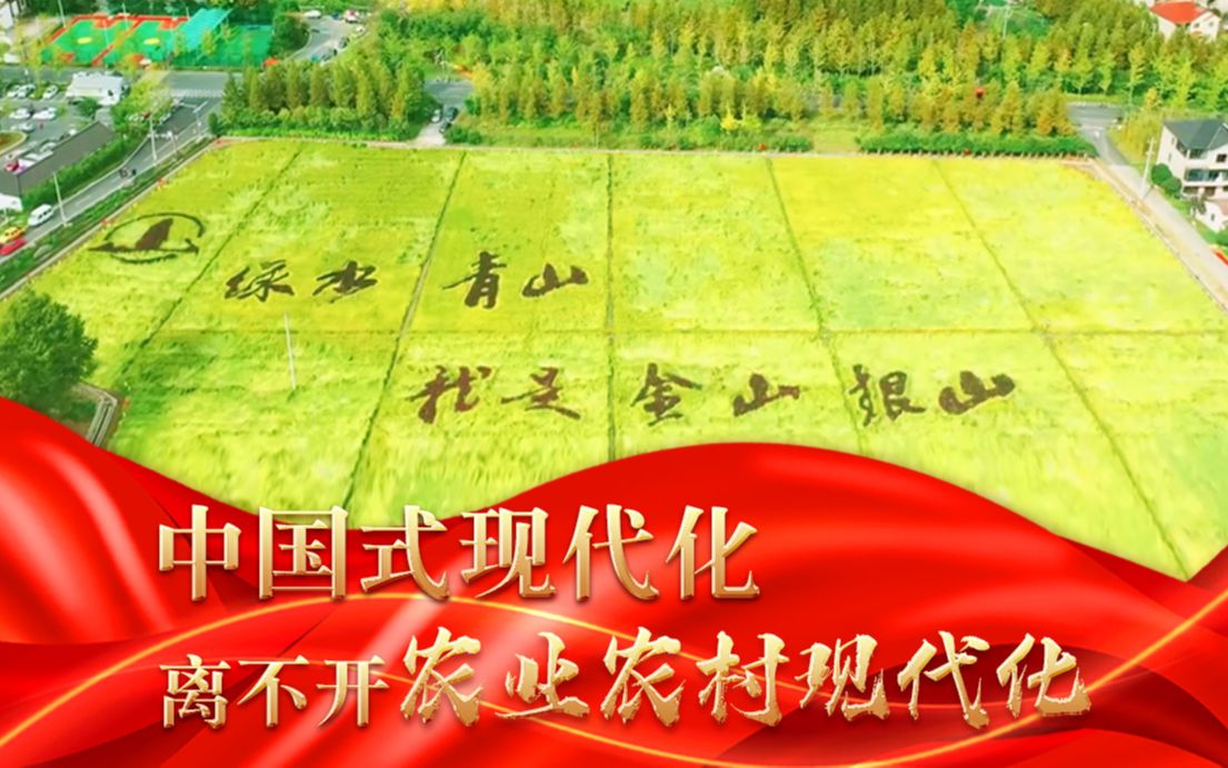 党代会快评丨中国式现代化,离不开农业农村现代化