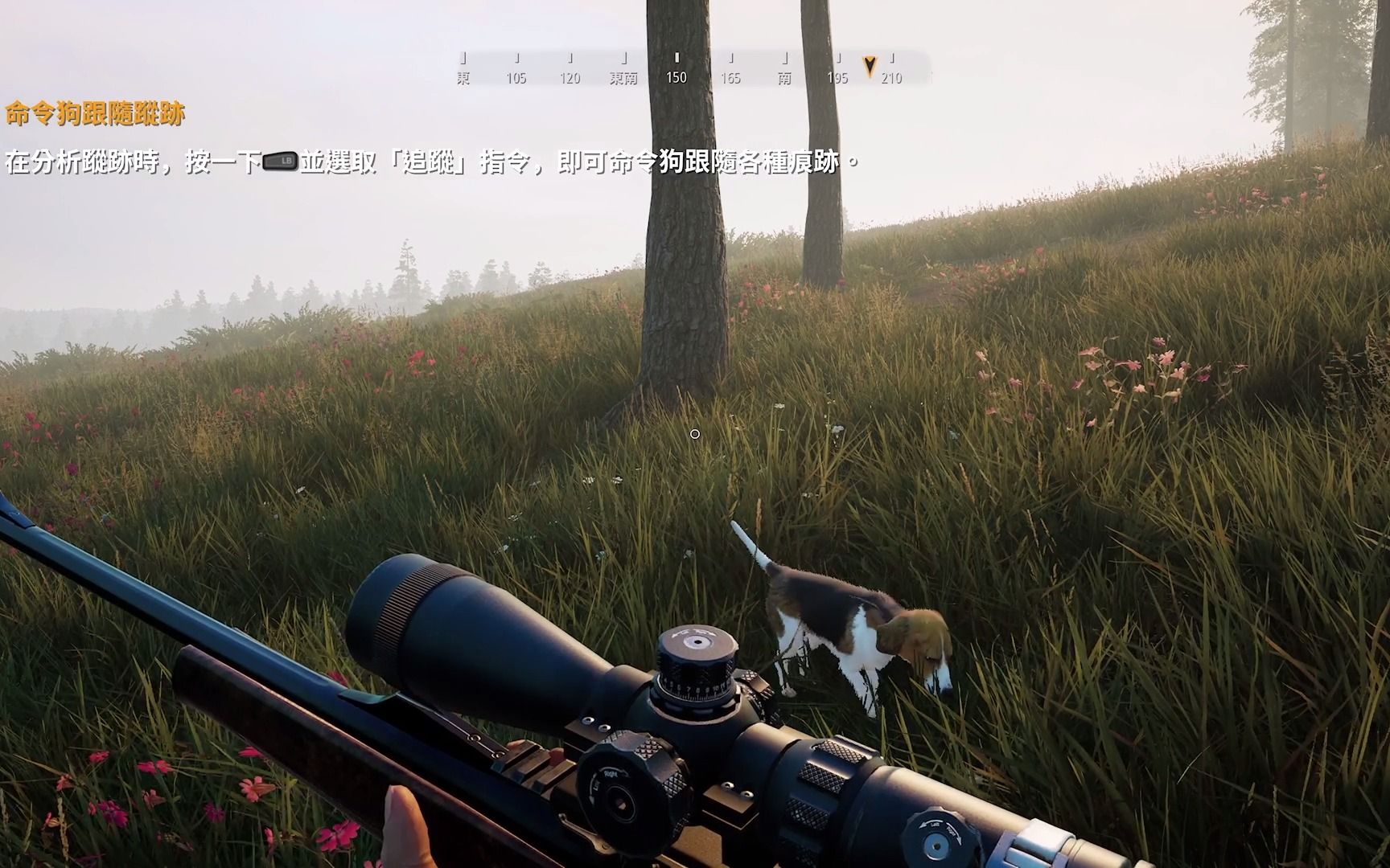 【XSS】风景模拟器!《狩猎模拟器2》休闲遛狗!| 实机体验_单机游戏...