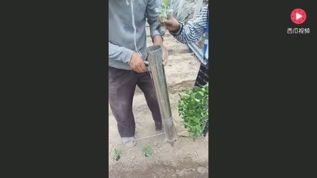 脑洞大开,这种播种器,实用又好用