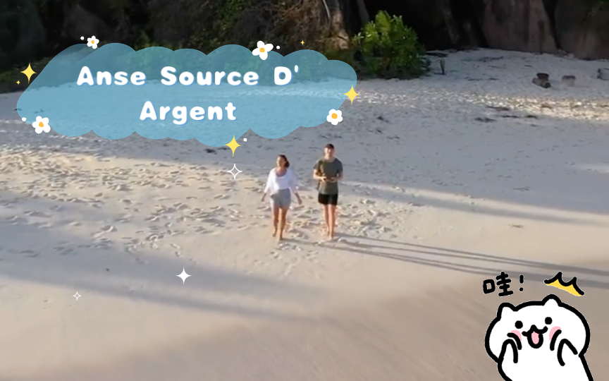 塞舌尔 拉迪格岛,Anse Source D'Argent 海滩 #风景