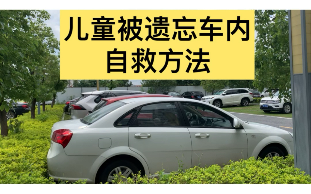 又一起!高温天2名幼儿被遗忘校车内,儿童被遗忘车内自救方法学起来
