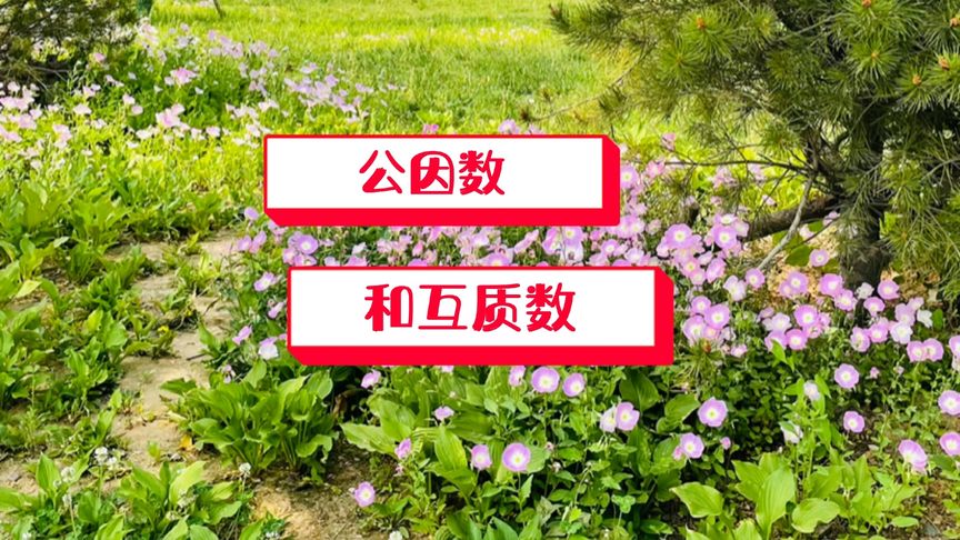 公因数和互质数(数的整除概念梳理之五)