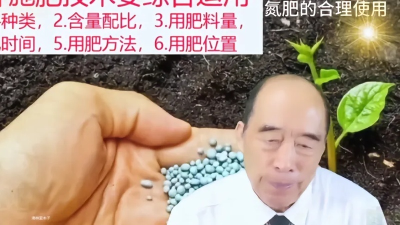 肥料的合理利用,才能起到关键作用