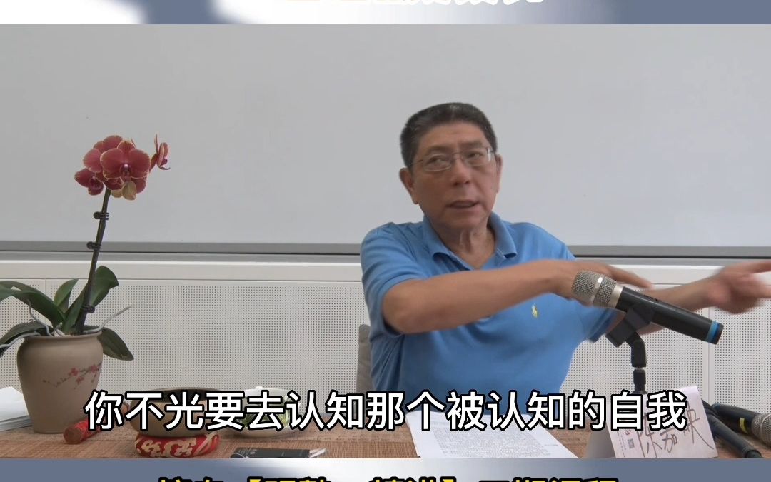 认识自我,是了解一个正在认知的自我,还是正在被认知的自我
