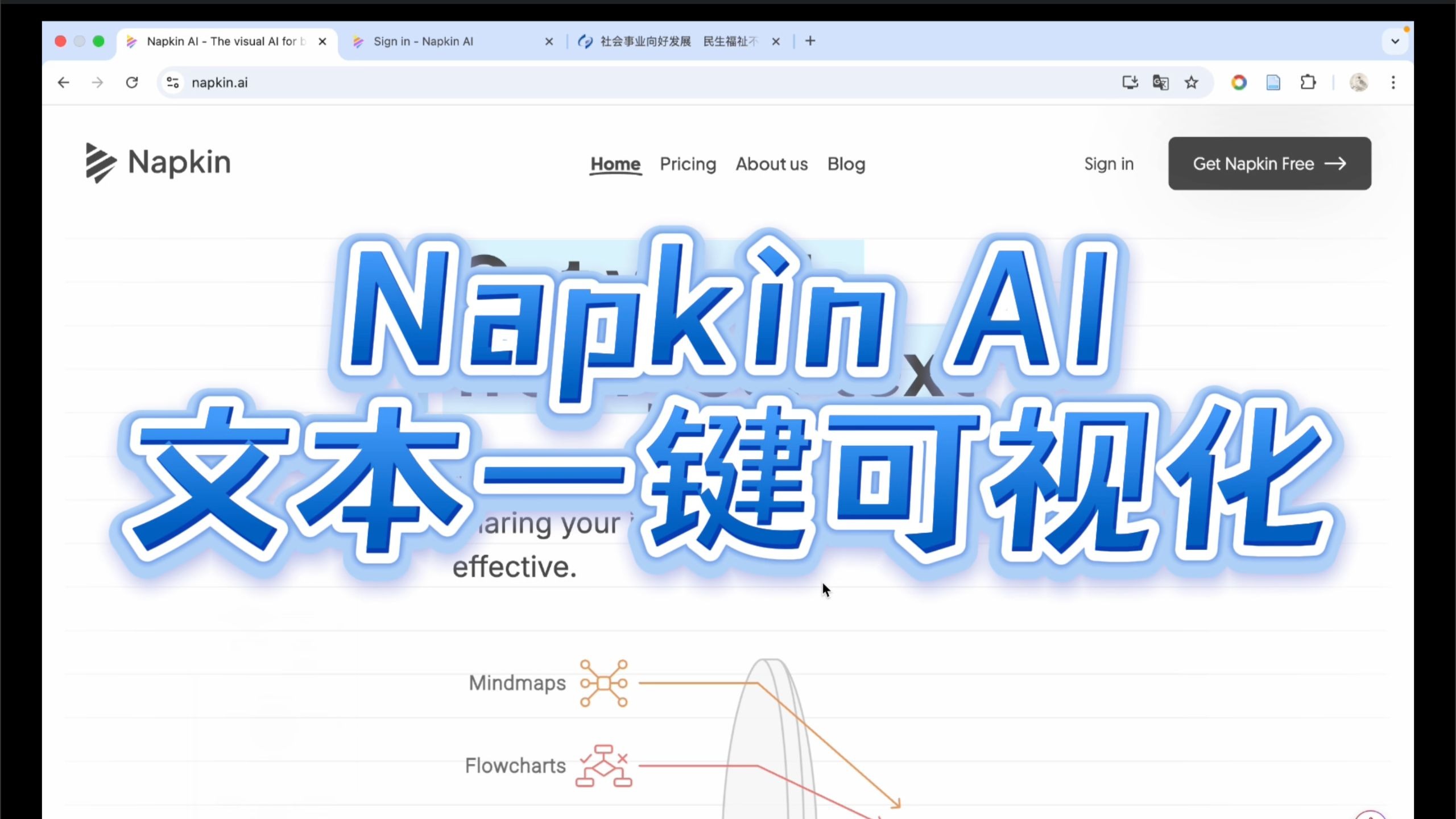 Napkin AI 文本一键可视化!